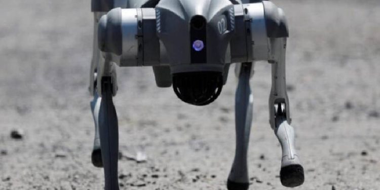 Robots avanzados impulsan la producción de comida para mascotas a gran ...
